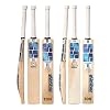 SS Gunther English Willow Cricket Bat – SH (Set of 2) (Red and Blue ...