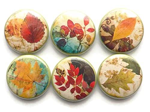 Amazon.com: Fall Leaves Refrigerator 6 Magnets Thanksgiving Home Decor ...