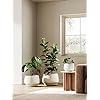 Amazon.com : LE TAUCI Ceramic Planters, 12 Inch Pots for Plants, Plant ...