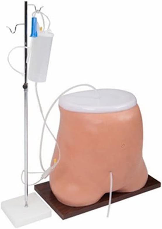 Amazon.com: Teaching Model Tools,Human Peritoneal Dialysis Model 55 * ...