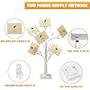 Amazon.com: EAMBRITE Money Tree Gift Holder, Gift Card Tree 2FT 24LED ...