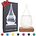 Amazon.com: Eon Concepts Storm Glass Weather Predictor - Barometer ...