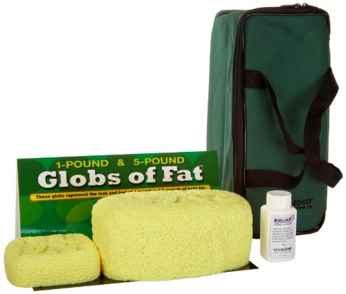 Boss Audio BV10.4BA 10.4-Inch Flip Down TFT Monitor with Built-In DVD ...