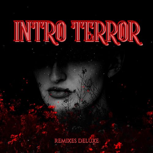 Ultrastar Deluxe Songs