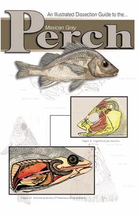 Amazon.com: SciEd Fisher's Mini Dissection Guide to the Bony Fish ...