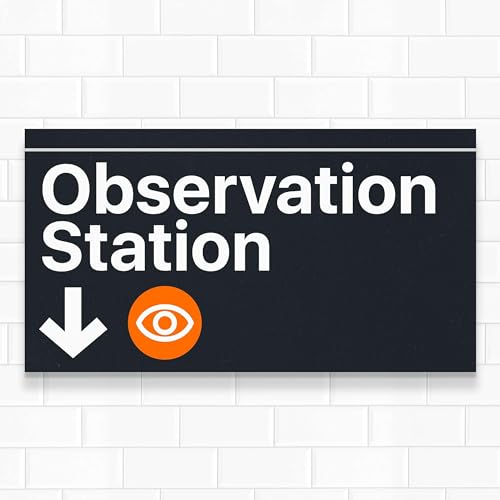 Observation Station : Tommy Heitz II: Amazon.in: Audible Books & Originals