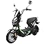 HONEYWHALE ZL-Wolf Bicicleta Electrica para Adultos, Bicimoto Eléctrica ...