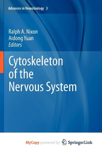 Cytoskeleton of the Nervous System: 9781441967886: Medicine & Health ...