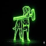 【発売日：2026年04月03日】・製造元:Dan P