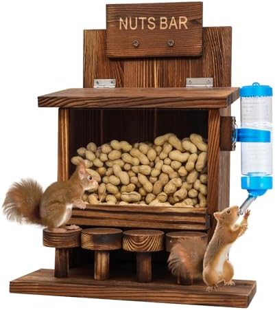 Amazon.com : Esterno Nut Bar Squirrel Feeder, Funny Bar Stool Outdoor ...