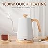 Amazon.com: Nueve&Five Gooseneck Electric Kettle with Thermometer ...