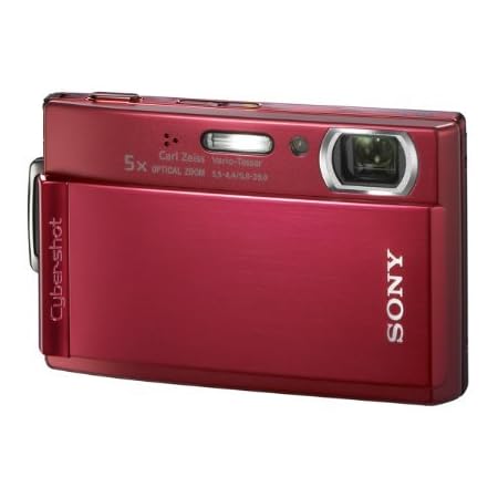 Amazon.com : Sony Cybershot DSCW170/B 10.1MP Digital Camera with 5x Optical Zoom with Super ...