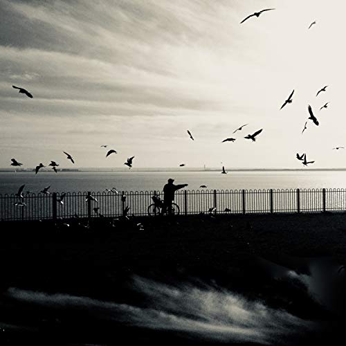 It's All I Am by Jim Jam on Amazon Music - Amazon.com