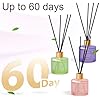 Amazon.com: Set of 3 Reed Diffuser with 12 Fiber Sticks, 150ml Peach ...