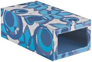 Amazon.com: The Container Store Drop-Front Shoe Box : Home & Kitchen