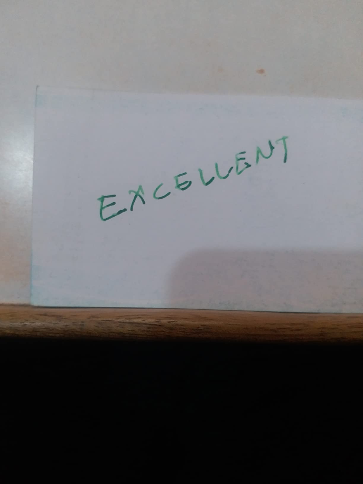 Syahi - The Great Indian Ink (Light Green) Fountain Pen, Calligraphy ...