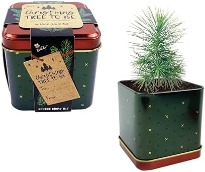 Amazon.com: The Jonsteen Company Living Christmas Tree | Seed Grow Kit ...