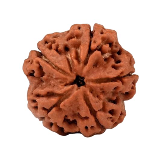 Buy Gemstone King Genuine Rudraksha Pendant For Men 5 Mukhi Beautiful ...
