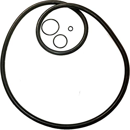 Amazon.com: Tiki Island Pool Express Compatible with Jacuzzi Tri-Clops ...