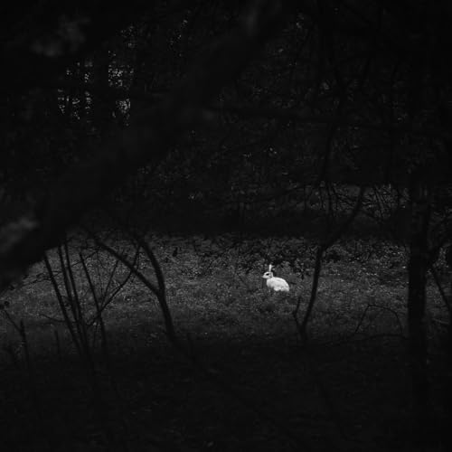 Play dreams long forgotten by Polarcoaster on Amazon Music Unlimited