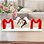 Amazon.com: Custom Building Blocks Mother's Day Gifts, Personalized DIY ...