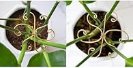Amazon.com : YOHSNOR 5PCS Monstera Plant Support System 4.1IN - Durable ...