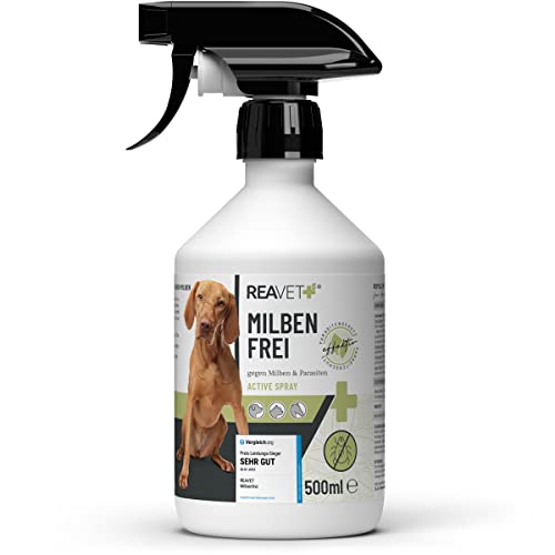 Haarbalgmilben Shampoo – Die 15 besten Produkte im Vergleich ...