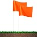 Amazon.com : JIZHGRAD Orange Marking Flags, 20 Pack Marker Flags ...