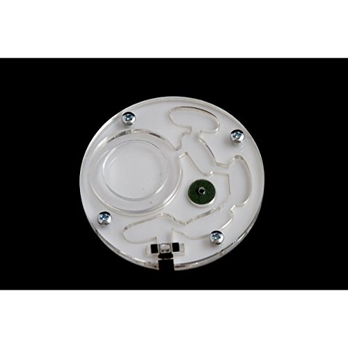 Buy Ant Farm Educational Kit Circle (Formicarium, Ants) Online at Low ...