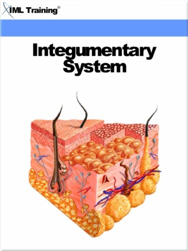 Integumentary System (Human Body Book 8) - Kindle edition by Training ...