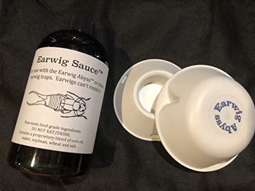 Best Earwig Killers For Your Home That Get The Job Done