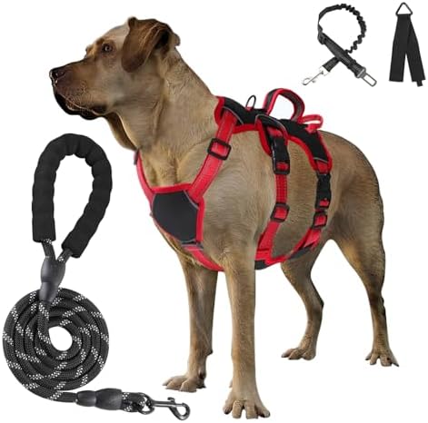 Amazon.com : rabbitgoo Escape Proof Dog Harness, Soft Padded Full Body ...