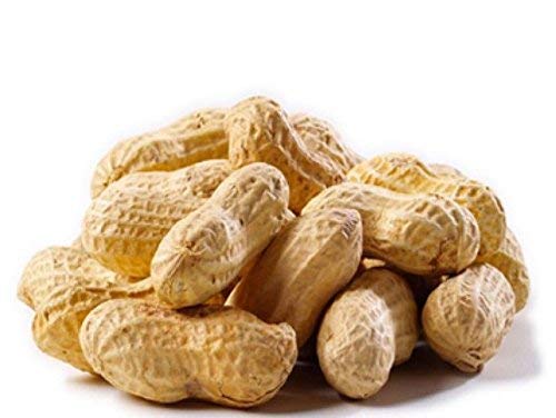 Fresh Produce Groundnut Pods Fresh, 500 gm : Amazon.in: Grocery ...