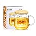 Amazon.com: Lezero Glass Tea Infuser Cups with Strainer and Lid, 15 ...