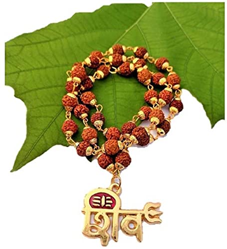 Buy Zanshack Lord Shiva SHIV Locket With Puchmukhi Rudraksha Mala (8MM ...