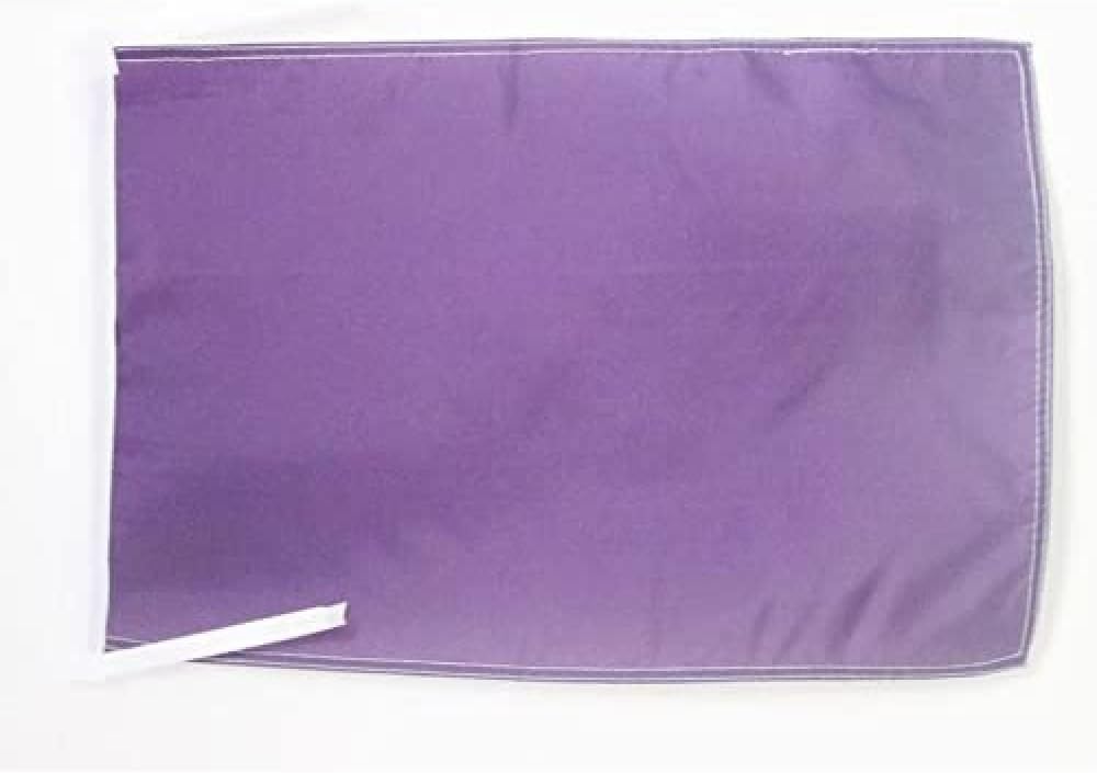 Amazon.com : AZ FLAG Plain Purple Flag 18'' x 12'' cords - Purple Solid ...