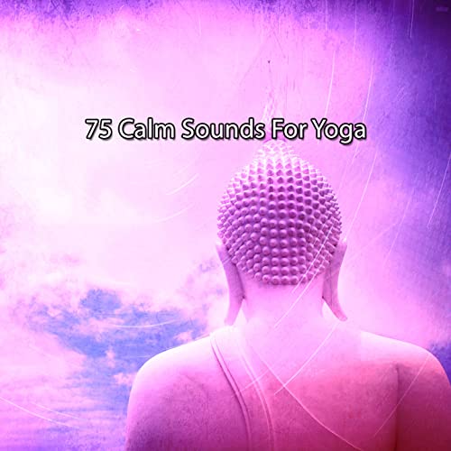 Amazon.com: 75 Calm Sounds For Yoga : リラックスできるミュージックムード: Digital Music