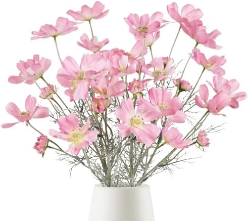 Katty Ferretti's Amazon Page