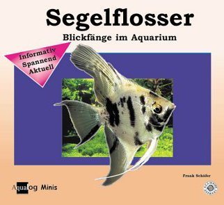 Mein Segelflosser (Aqualog mini) : Schäfer, Frank: Amazon.de: Bücher