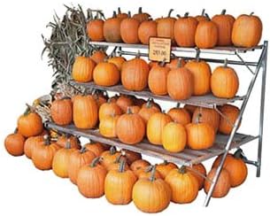 Amazon.com: Half A-Frame Display Bench - 24' connected run w/purlin ...