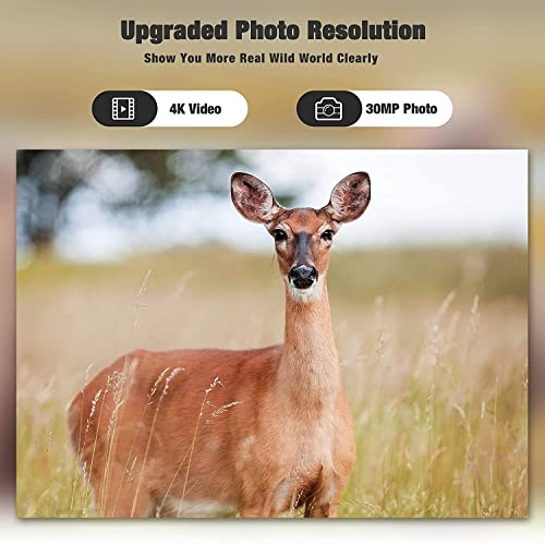 YTREW Product Guide: 5 Best Things to Buy from YTREW (June 2025 ...