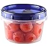 Amazon.com: HomeyGear Twist Top Food Deli Containers Screw And Seal Lid ...