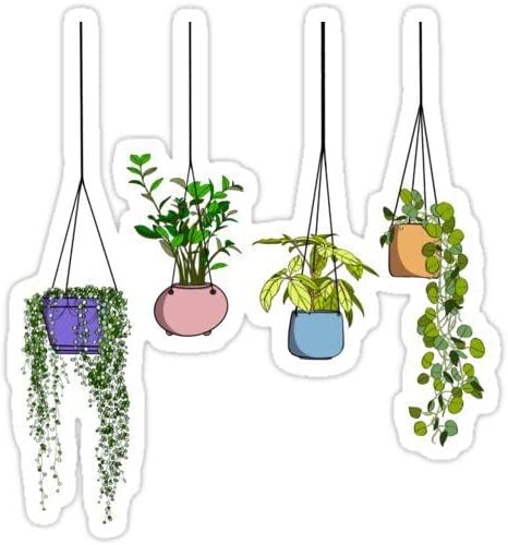 Amazon.com - Hanging Plants Sticker | Vinyl | Decal for Car Bumper ...