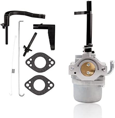 Amazon.com : Briggs & Stratton 696146 Carburetor Overhaul Kit : Lawn ...