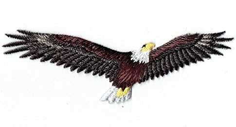 Amazon.com: Soaring American Bald Eagle Embroidered Iron on Patch