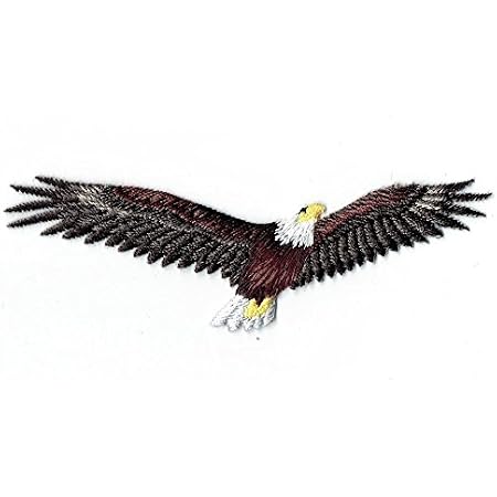 Amazon.com: Soaring American Bald Eagle Embroidered Iron on Patch