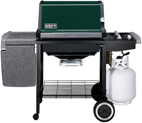 Amazon.com: Weber 2003 Model 2287001 Genesis Silver B Propane Gas Grill ...