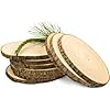 Amazon.com: Natural Wood Slices 10 Pcs 10-11 Inch Large Wood Slices for ...