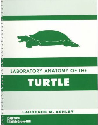 Amazon | Laboratory Anatomy of the Turtle | Ashley, Laurence M. | Basic ...
