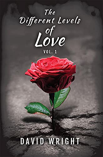 The Different Levels of Love, Volume 1 eBook : Wright, David: Amazon.in ...
